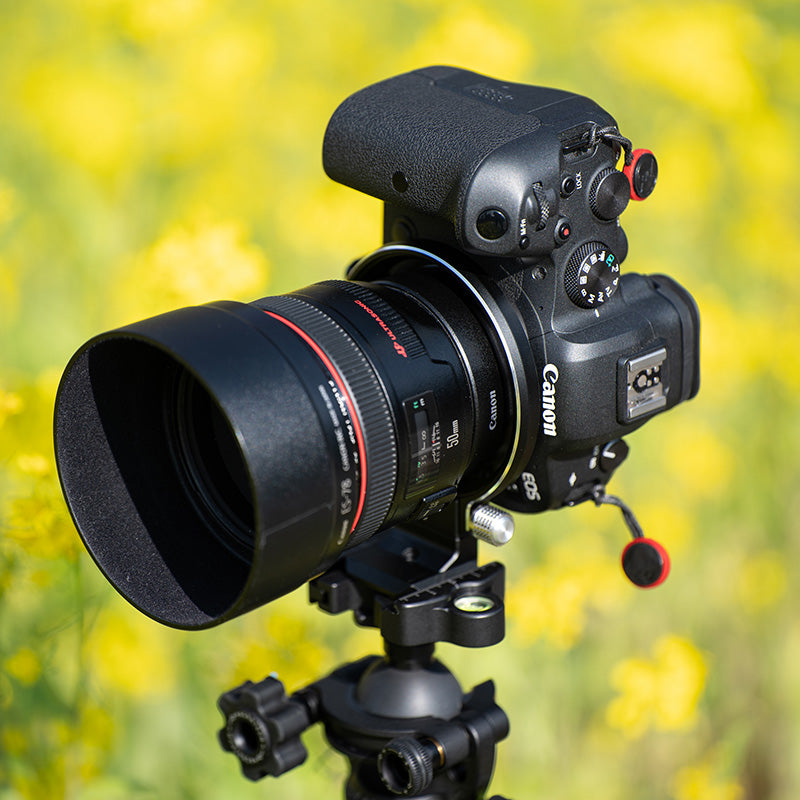 Buy Atoll Rotating Camera Collar Series D at Lowest Price in India ...