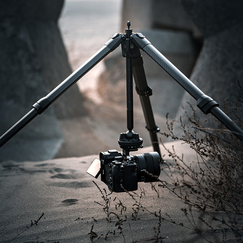 Buy Atoll Rotating Camera Collar Series D at Lowest Price in India ...