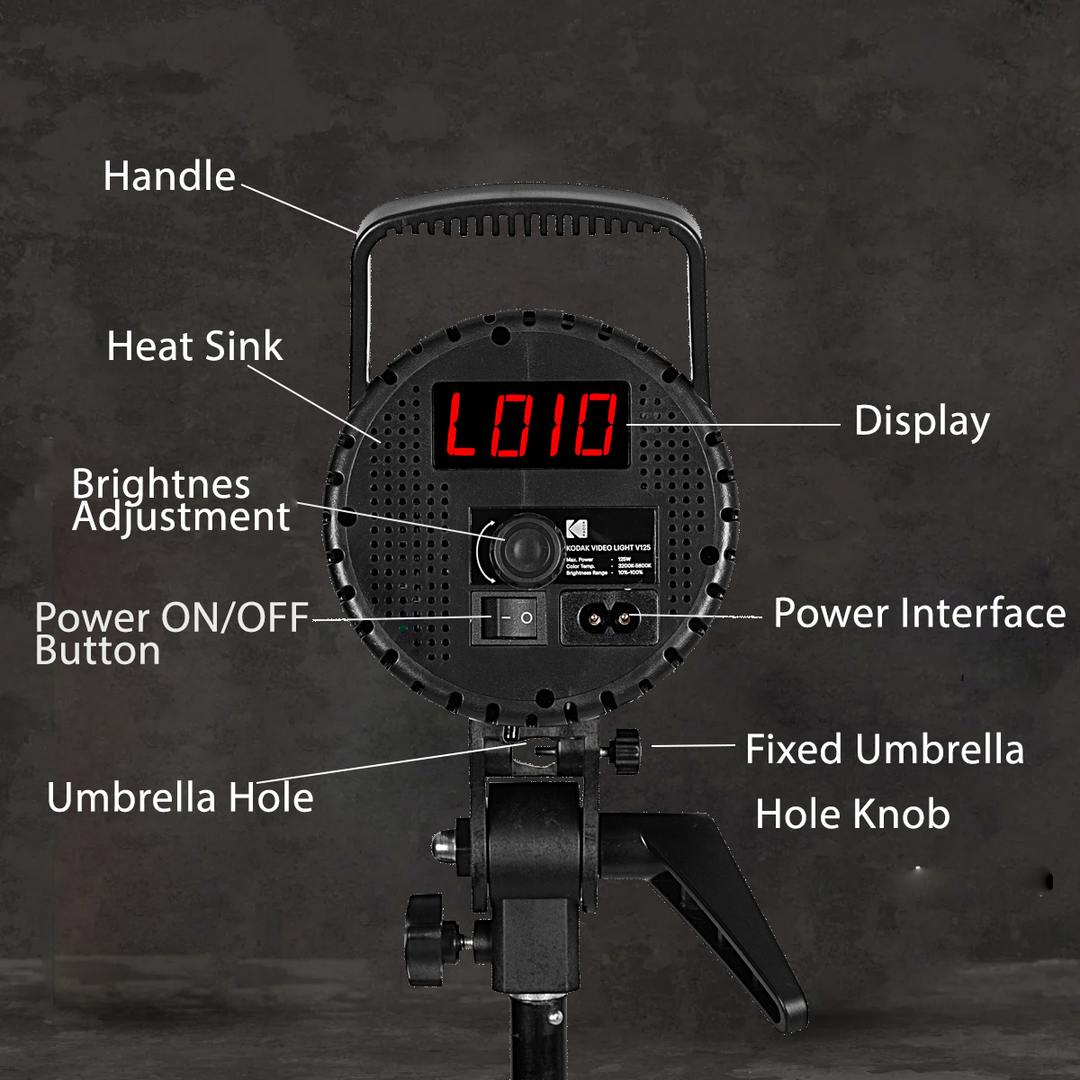 KODAK V125 Video Light Without Reflector Lowest Price in India ...